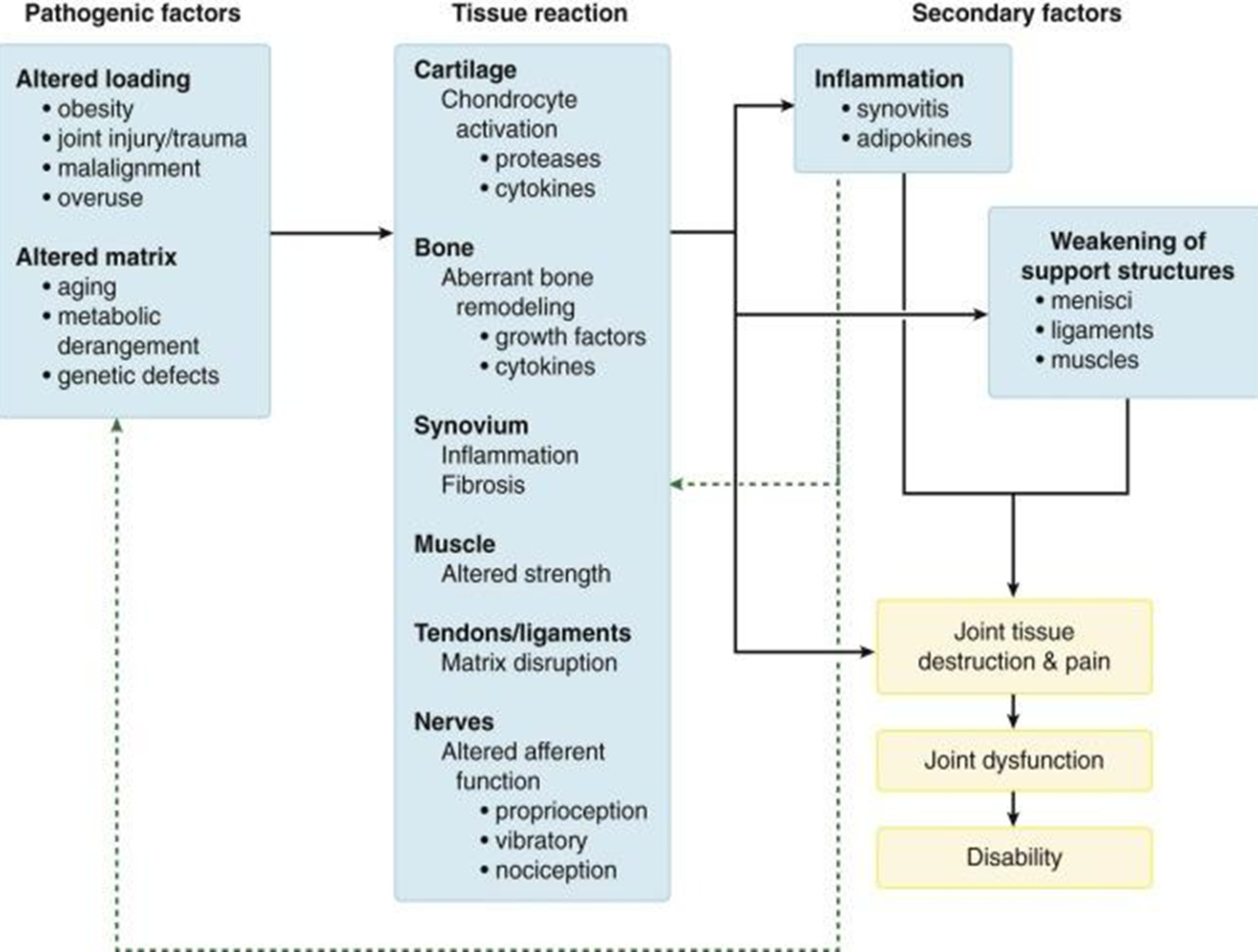 OSTEOARTRITIS GENU – RS Islam Surabaya